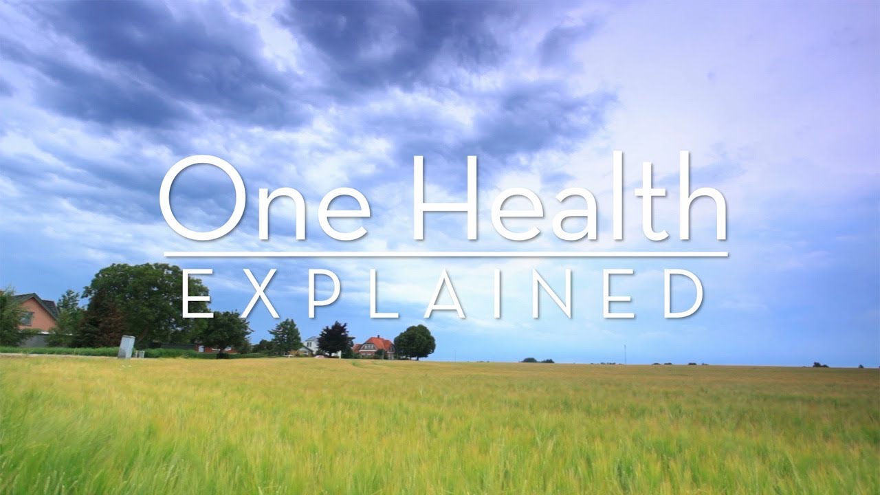 One Health Explained