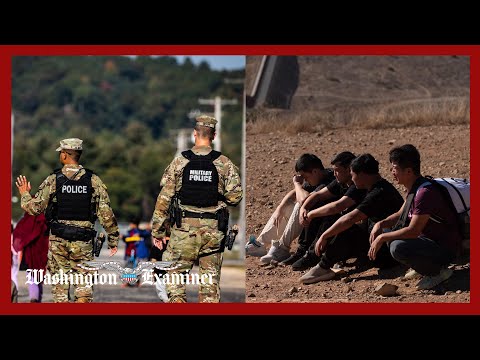Pentagon to establish two military zones along southern border