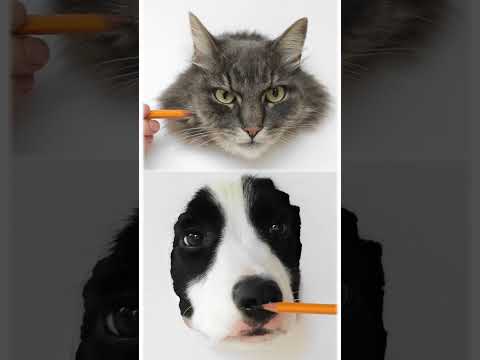 CAT vs DOG drawing 😆 Alive artwork #cat #cats #dog #dogs #joke #funny
