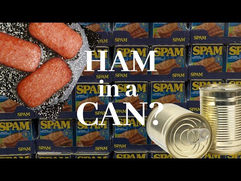 A brief history of Spam