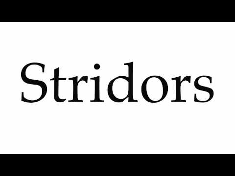 How to Pronounce Stridors