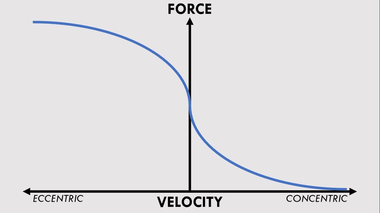 The Force-Velocity Relationship | Meaning and Implications (Updated)