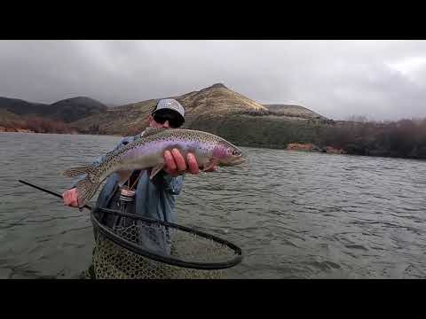 Wiggly Worm Fly // Dirty Water Nymph Solutions
