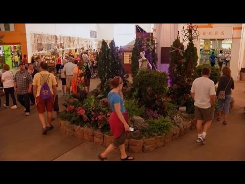 In the Garden: ‘Color Your World’