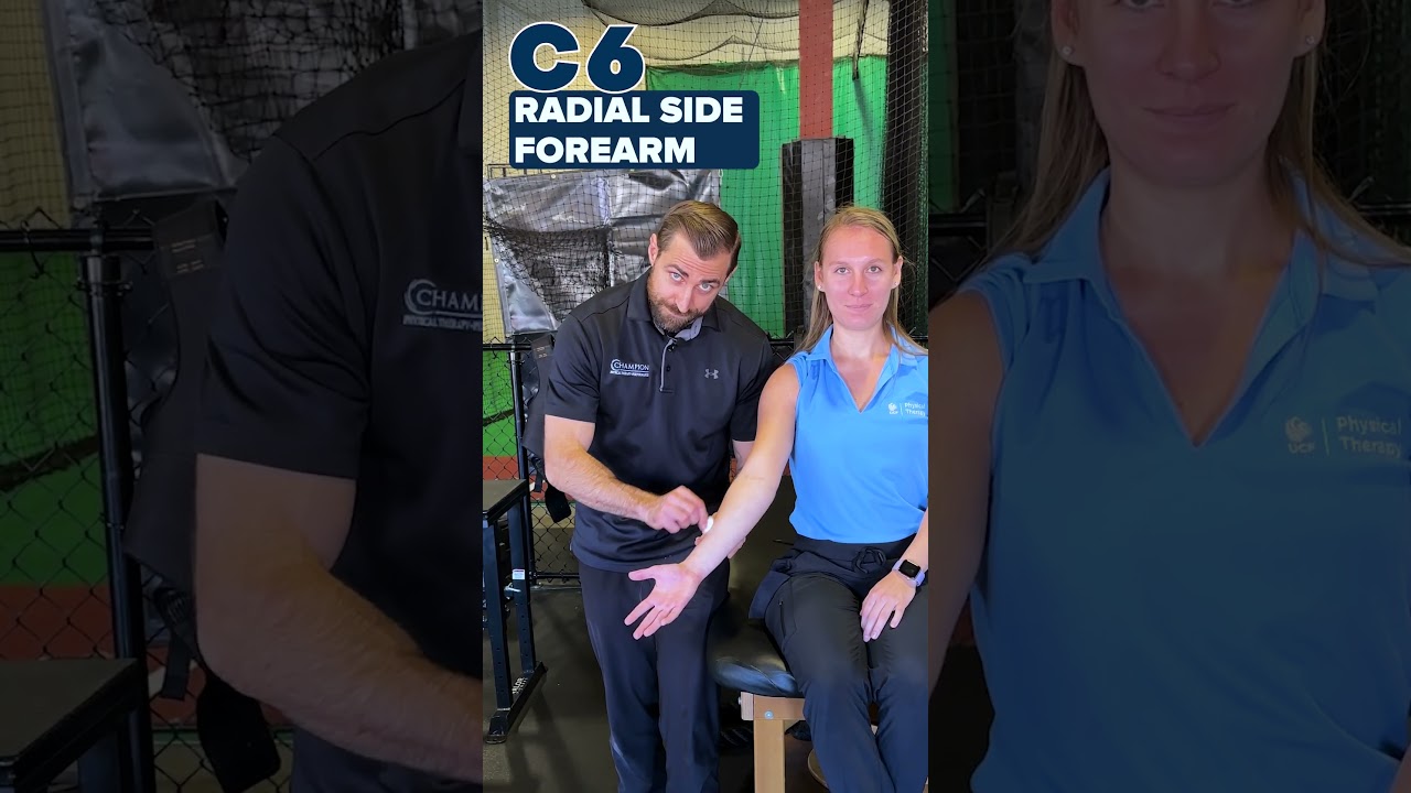 Upper Limb Dermatomes Under 30 Seconds