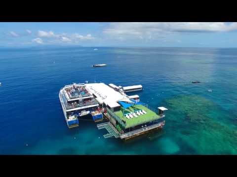 Reef Magic Day Tour