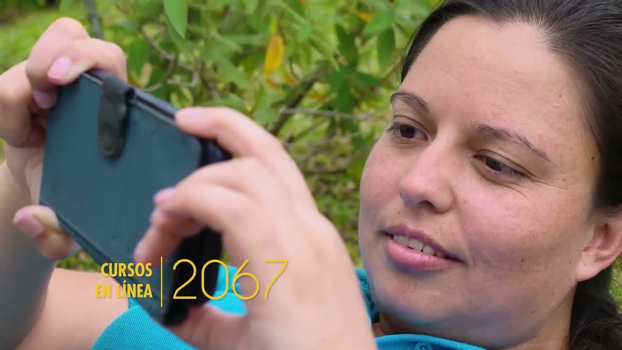 Informe de labores 2022: Transformación Digital