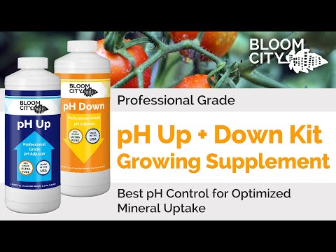 Bloom City | pH Up + pH Down Kit | Professional Grade Plant Growing Supplement