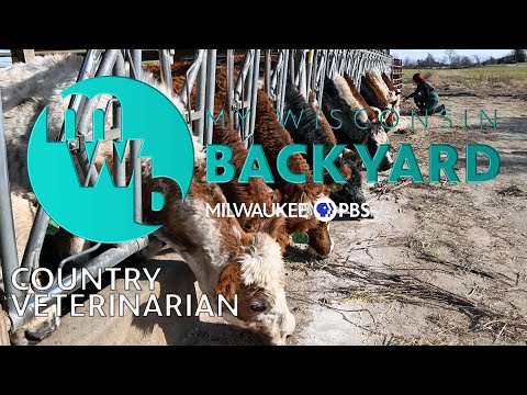 My Wisconsin Backyard | Web Series | Country Vet