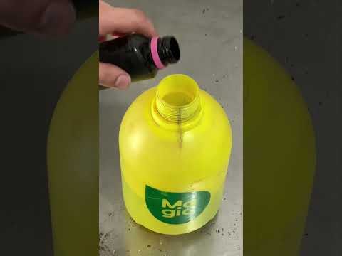 secret of massive zz plant growth