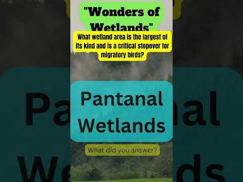 π§ Wonders of Wetlands: Explore the Beauty of Marshes and Swamps! πΎ