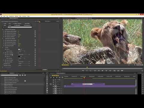 Transitioning with BCC Flutter Cut | Boris FX