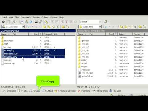 FTP - WinSCP - Upload