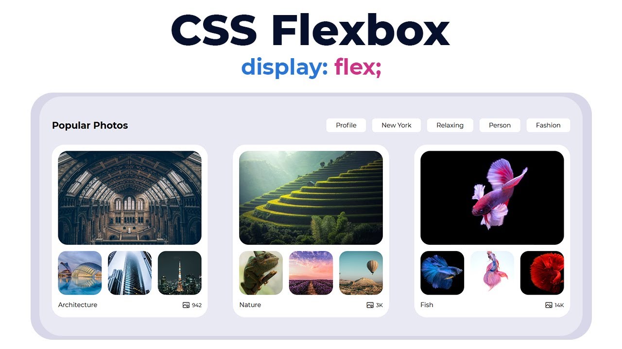 Learn CSS Flexbox - Full Tutorial with Project