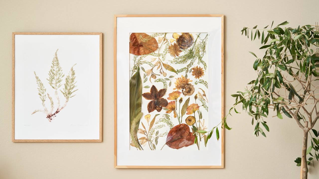 Dried flowers in frame – DIY by Søstrene Grene