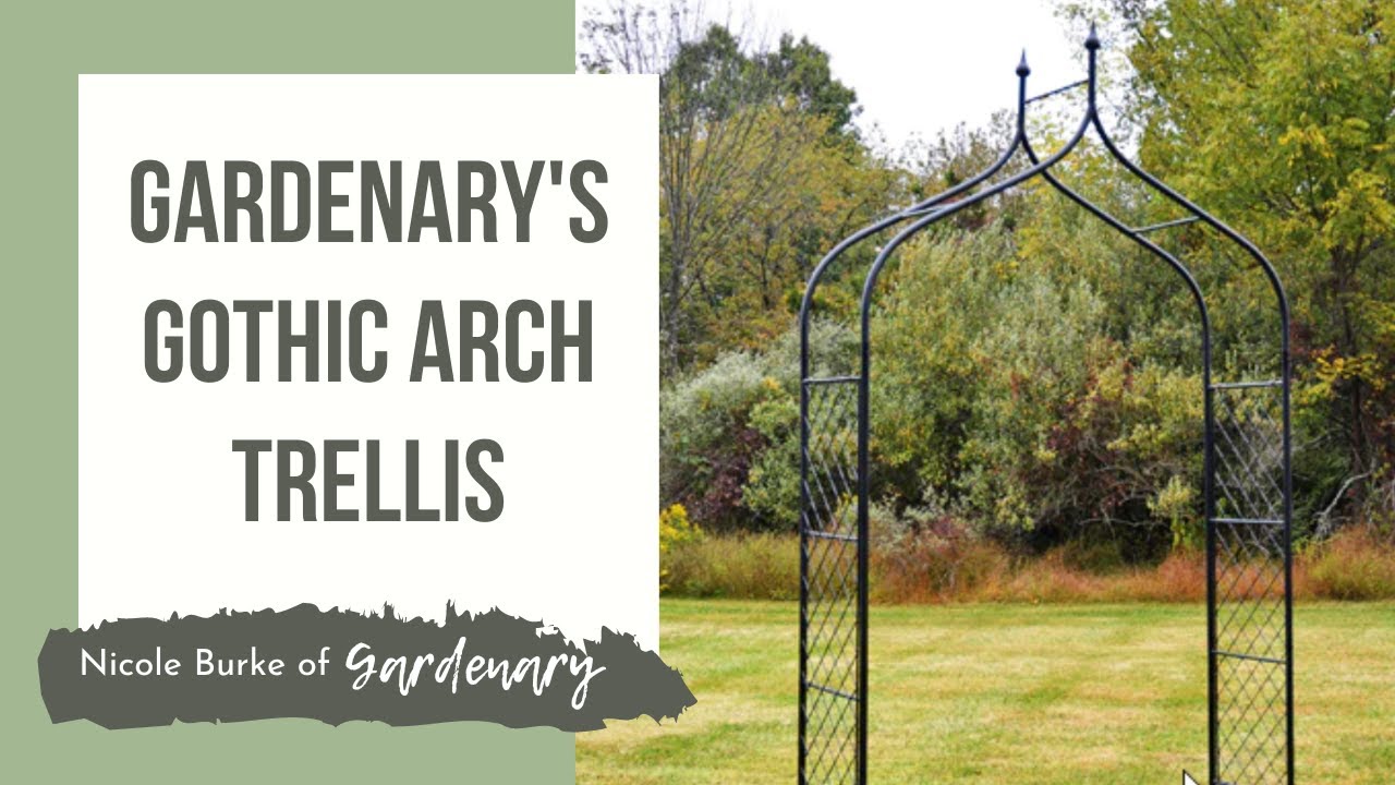 Gardenary's Gothic Arch Trellis