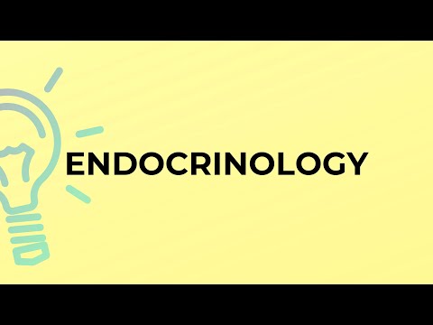 What is the meaning of the word ENDOCRINOLOGY?