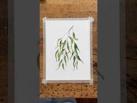 Learn How To Paint Willow Leaves Step by Step