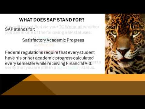 39 WHAT DOES SAP STAND FOR