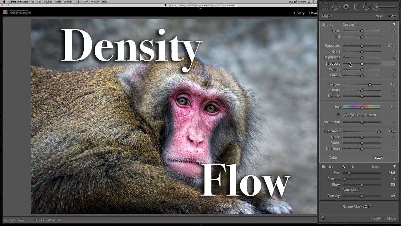 Lightroom Density & Flow EXPLAINED