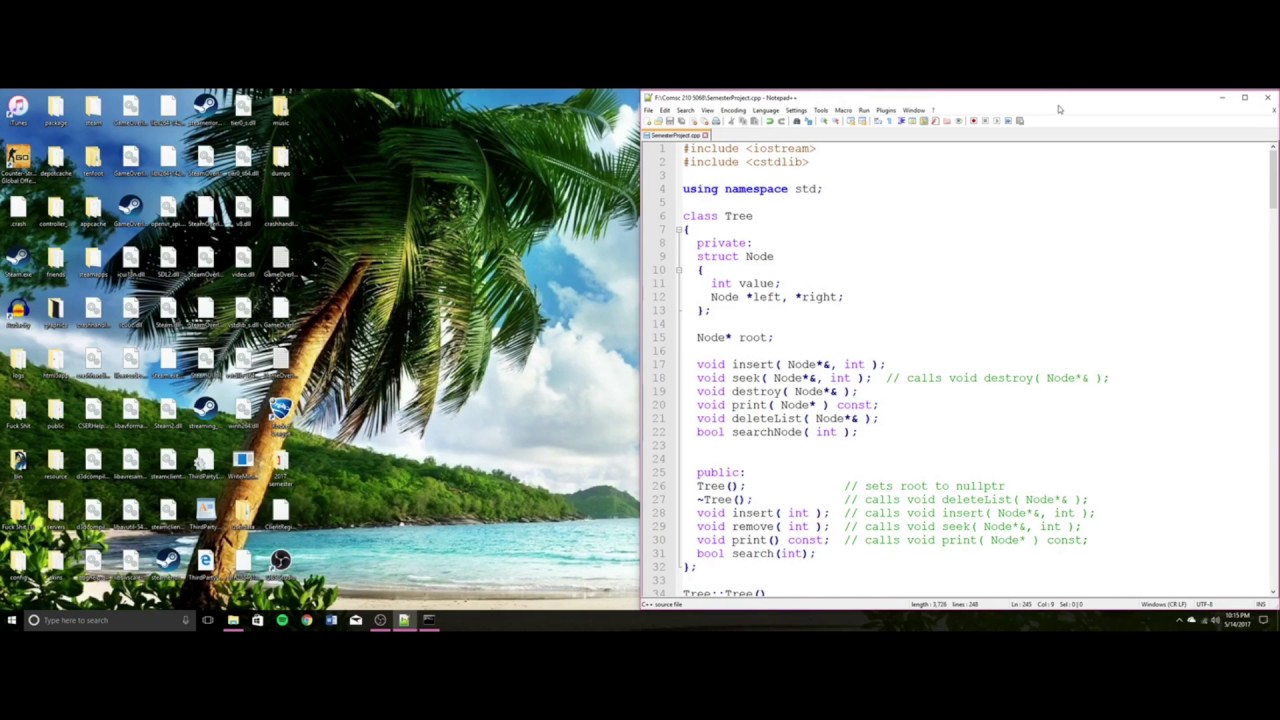 Semester Project: Binary Trees