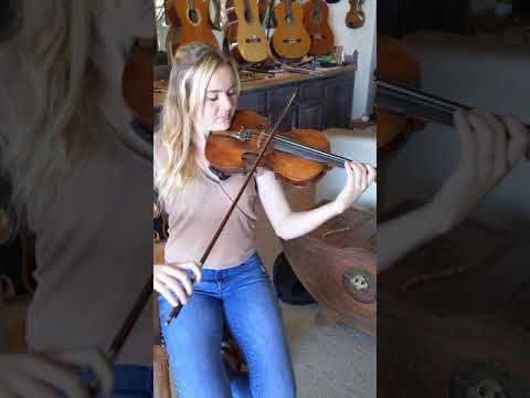 Violin William Moennig 1916 Redish natural | Reverb
