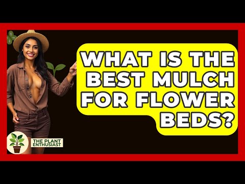 What Is The Best Mulch For Flower Beds? - The Plant Enthusiast