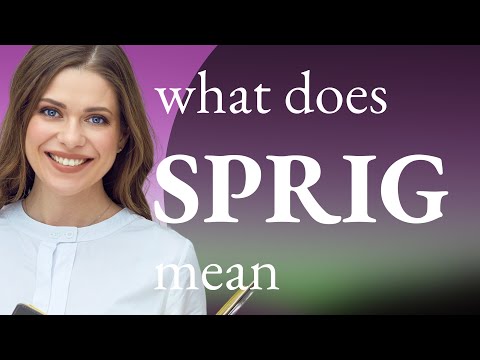 Sprig — meaning of SPRIG