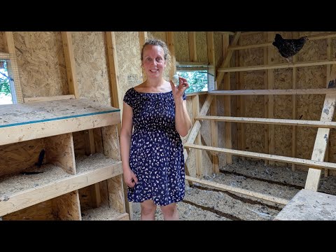 Homestead Poultry: Will I get baby ducks?