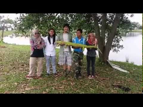 Australian Accent Crikey Team