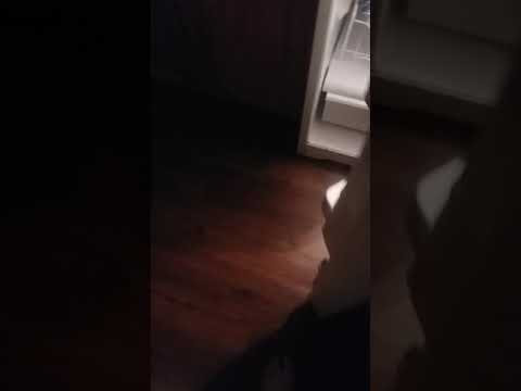 Steam Community :: Video :: a screaming door