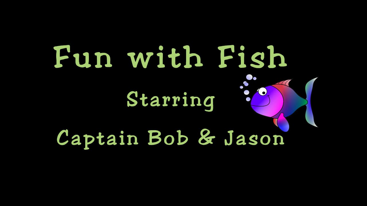 Fun with Fish
