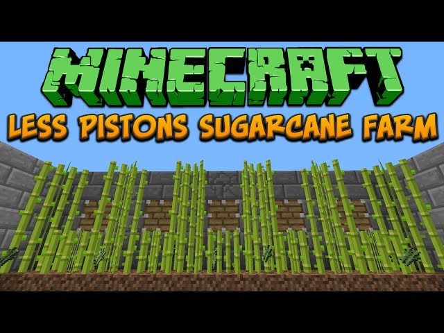 5 best farm layouts for sugar cane in Minecraft