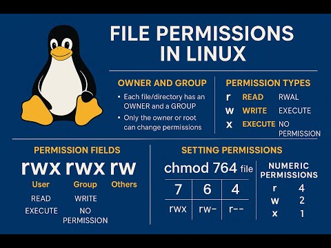 Understanding Read, Write, Execute in Linux — Scenario-Based Guide