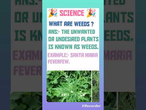 What are weeds ? with example #shorts#viral#study #education #trending #youtubecreator