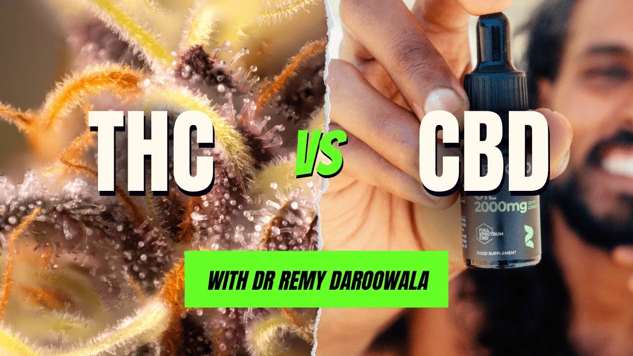 CBD vs THC: Understanding the Key Differences