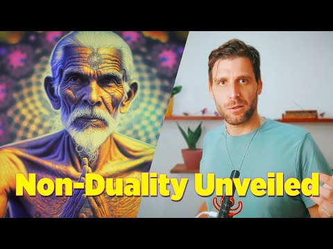 What Does Non-Duality Mean? (The Meaning of Non-Duality)