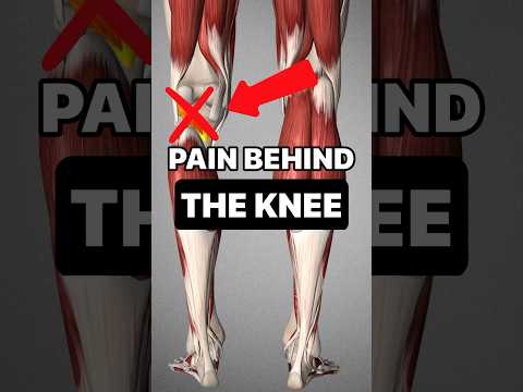 Pain Behind The Knee ⚠️ This Is The Cause 🫢