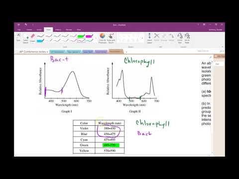 Photosynthesis Free Response Explanation