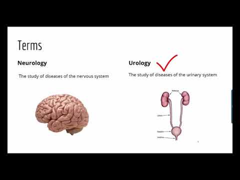 Look-alike, Sound-alike Medical Terms