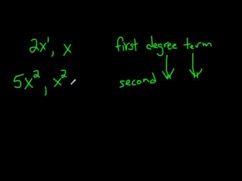 How to identify 1st, 2nd, and 3rd Degree Terms with Polynomials and more!