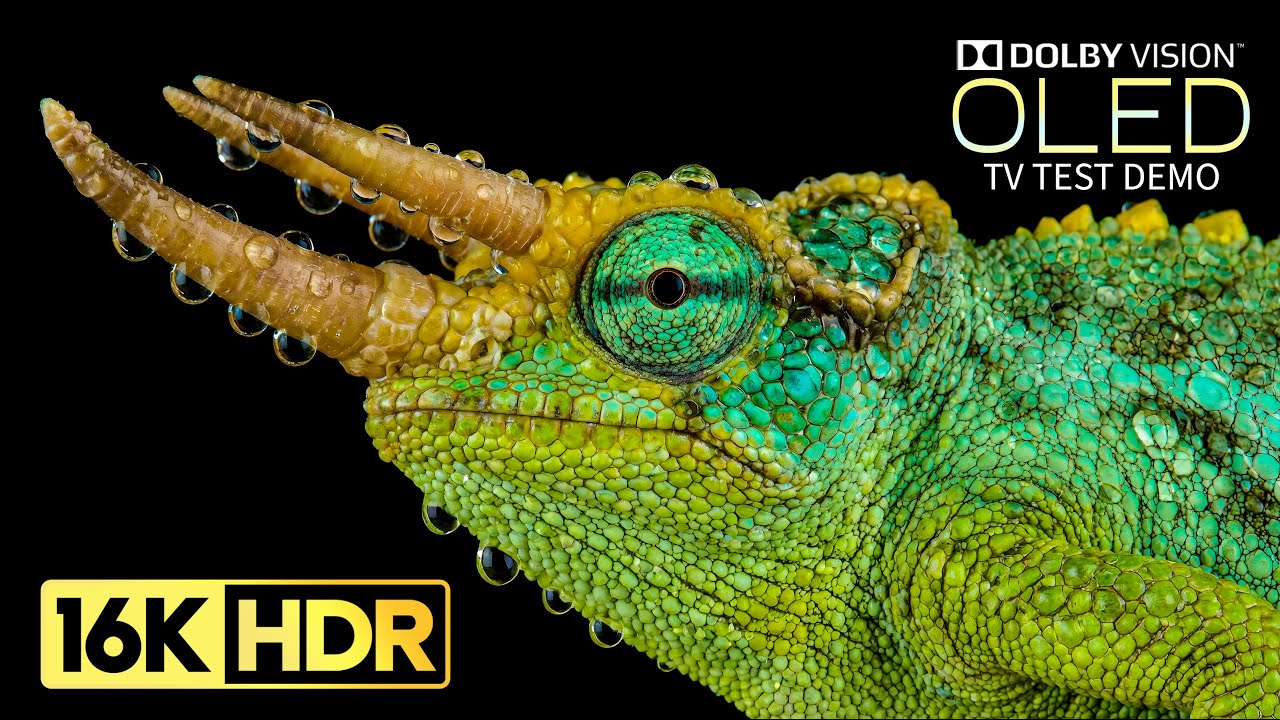 Mind Blowing 16K Video ULTRA HD 120 fps | 16K HDR Dolby Vision (8K/4K OLED TV)