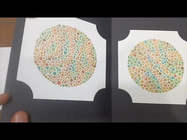Near Vision Test Type Book - Ishihara Book 38 Plates Trader ...