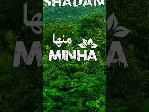 🌹Shadan & Minha🌹 | Name Meaning Status || Urdu e Hind Official