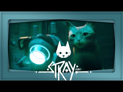 Steam Community :: Video :: Stray - Cat game! Atmospheric aesthetic and ...