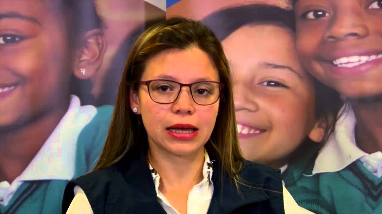 STS II.2.D Los Proyectos de Aula en el grado Transición - Los Insectos