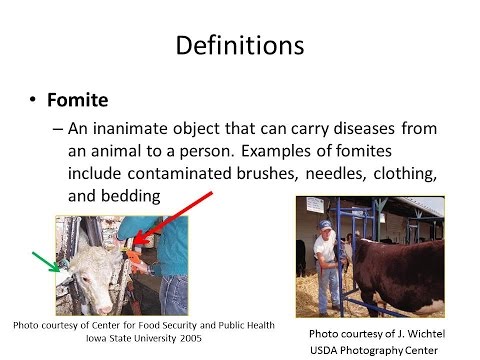 2.1 – Disease Transmission by Direct Contact: Definitions
