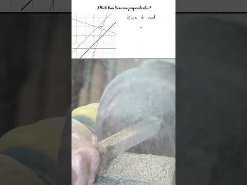 π₯β Math Teacher Goat Short: Perpendicular Lines! Please SUBSCRIBE! βπ₯