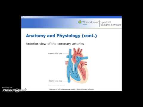 Medical Terminology - Chapter 7, Live Lecture Part 1