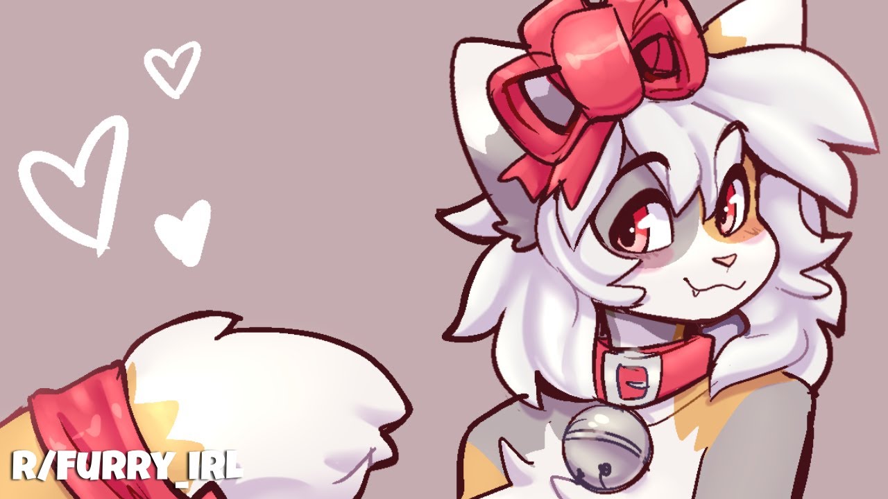 The CUTEST Furry Memes! (Compilation)
